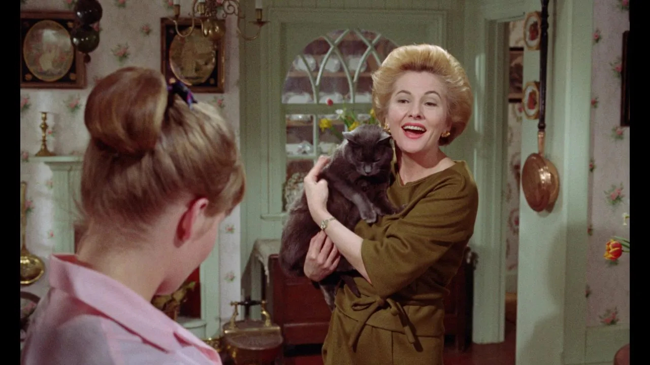 The Witches Blu-ray Review (Scream Factory) - Cultsploitation